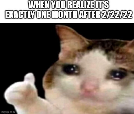 Sad Cat Thumbs Up Imgflip