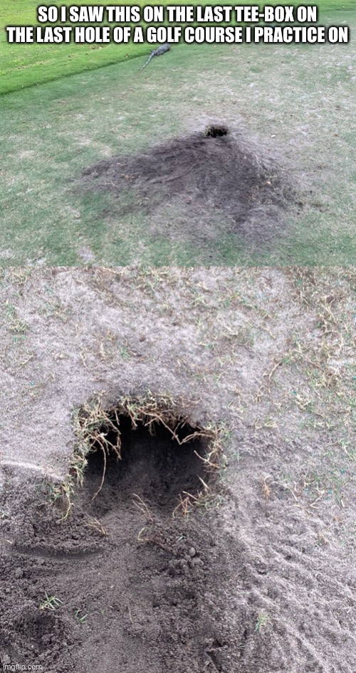 Golf moment - Imgflip