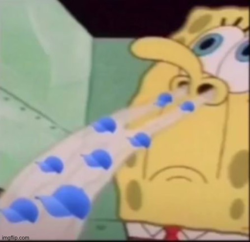 Animated GIF - Imgflip