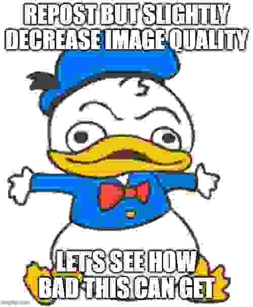  does Maximum Imgflip