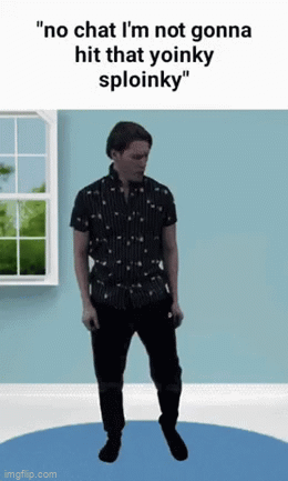Hit the yoinky sploinky - Imgflip