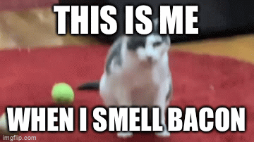 When I smell bacon - Imgflip