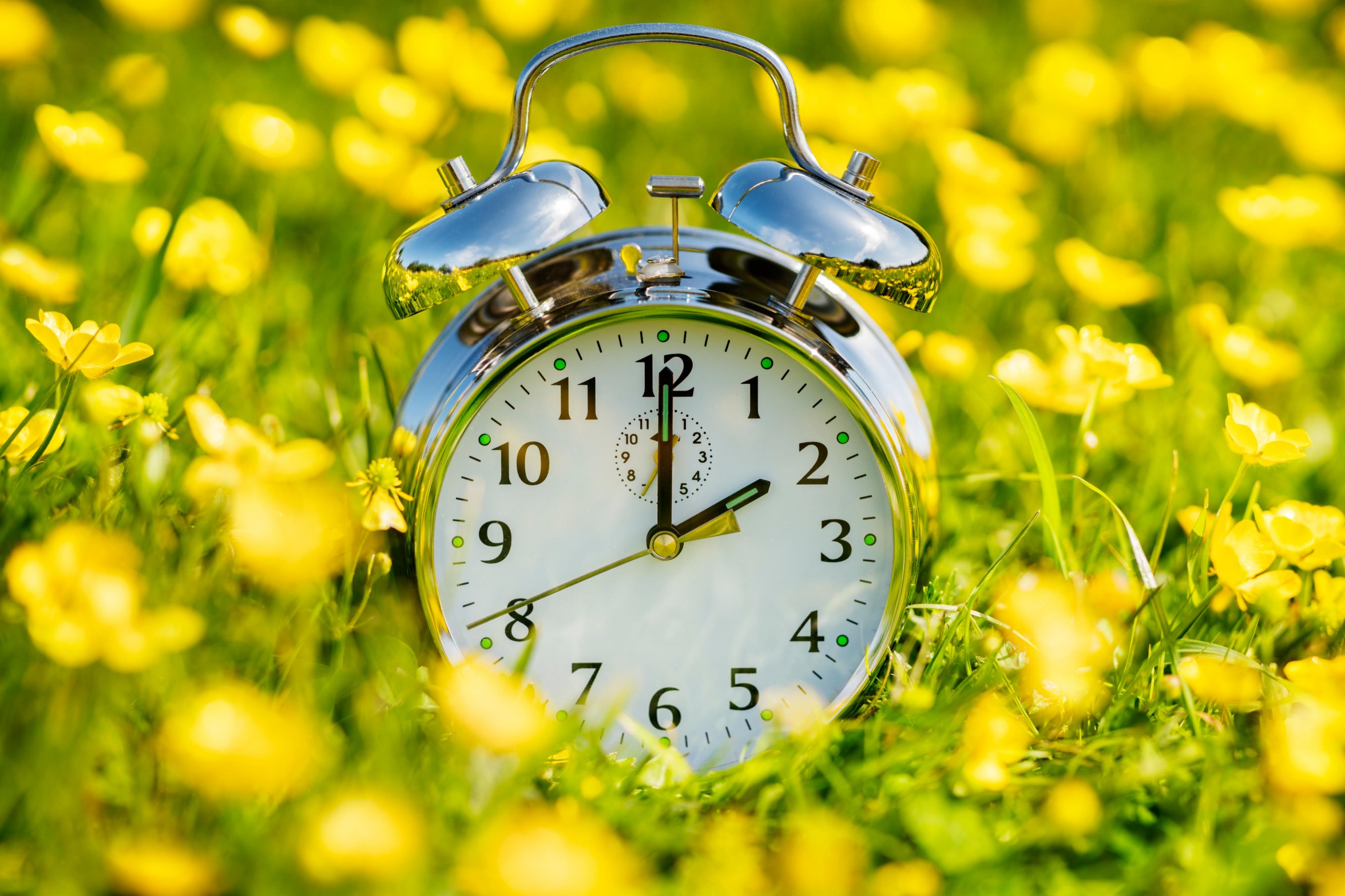 Clocks Go Forward Blank Template Imgflip
