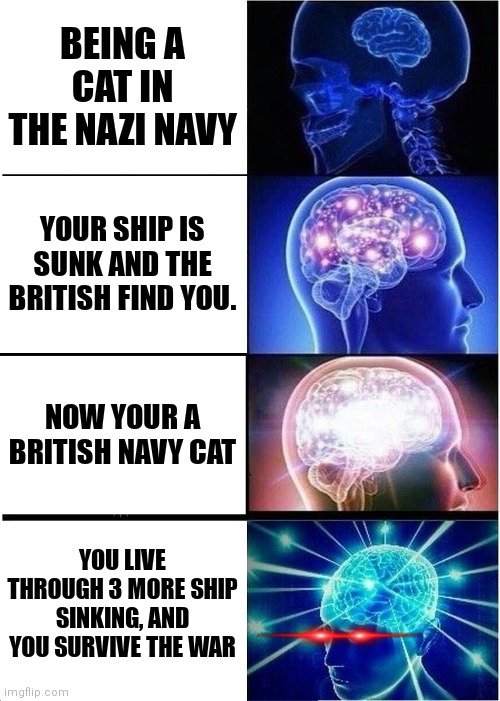 Expanding Brain Meme - Imgflip