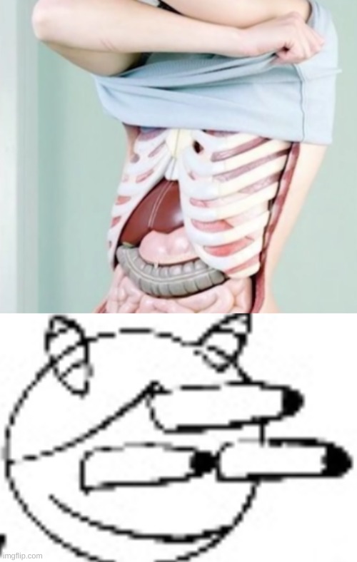 /j i am so sorry - Imgflip