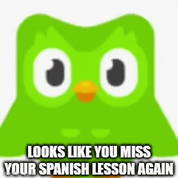 duolingo - Imgflip