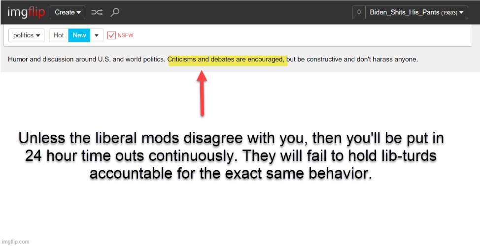 Liberal Mods - Imgflip