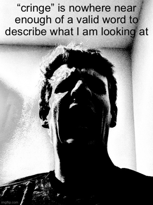 i literally just searched up nikolado avacdo and this was one of the ...