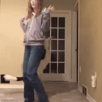 Dancing Doggo - Imgflip