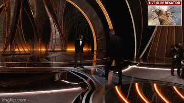 Live slap reaction (following the trend) - Imgflip