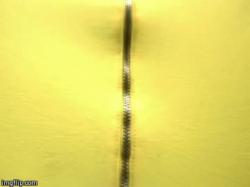 Animated GIF - Imgflip