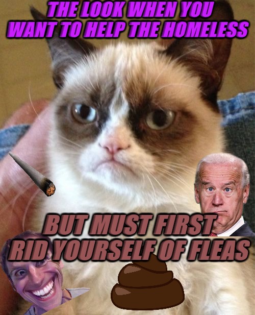 Boomer the Cat - Imgflip