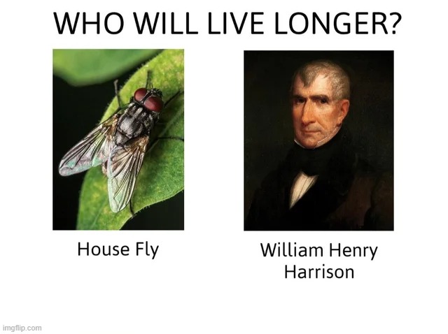 I Got $$$ on the Fly - Imgflip