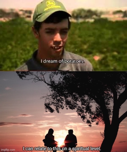 I am on a meme frenzy tonight. - Imgflip