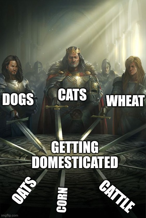 Domestication us one hell of a drug - Imgflip