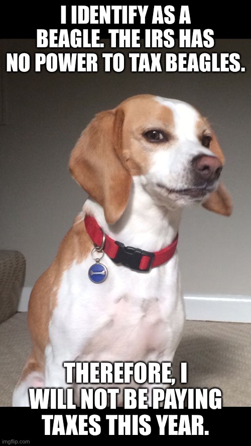Skeptical beagle - Imgflip