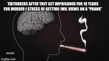 Brain explodes - Imgflip