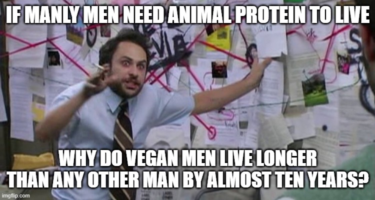 If manly men need animal protein to live, why do vegan men live 10 ...