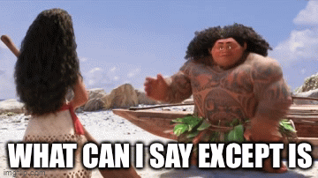 What can I say except you're welcome!! (GIF Version) - Imgflip