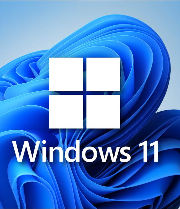 win11 Blank Template - Imgflip