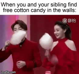 Who knows it was good for wall insulation? - Imgflip