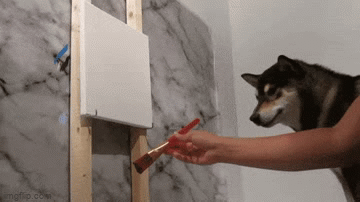 Panting Dog Gif Dennisunleashed GIFs Find & Share On GIPHY