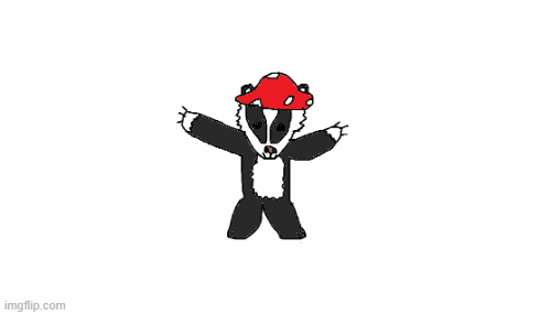 me doing badger dance - Imgflip