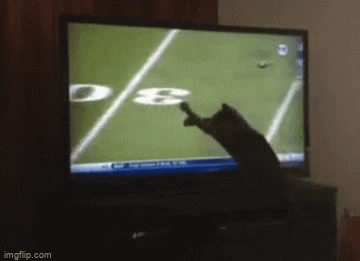 Cat football - Imgflip