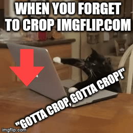 Crop it fast! - Imgflip