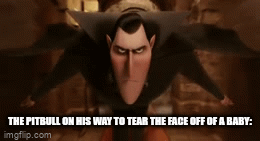 Run meme gif - Imgflip