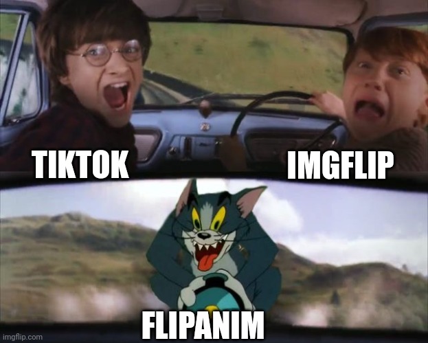 Tiktok Imgflip Flipanim Imgflip