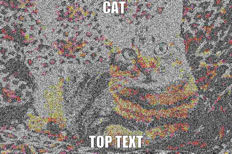 Typo Cat Memes