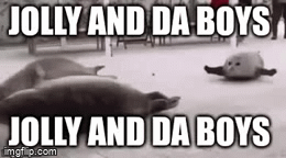 jolly - Imgflip