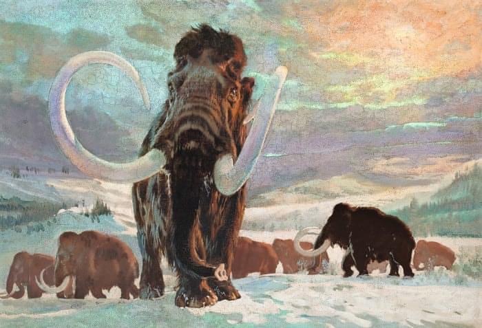 Woolly mammoths Memes - Imgflip