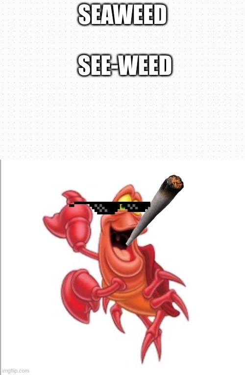 Seewead - Imgflip