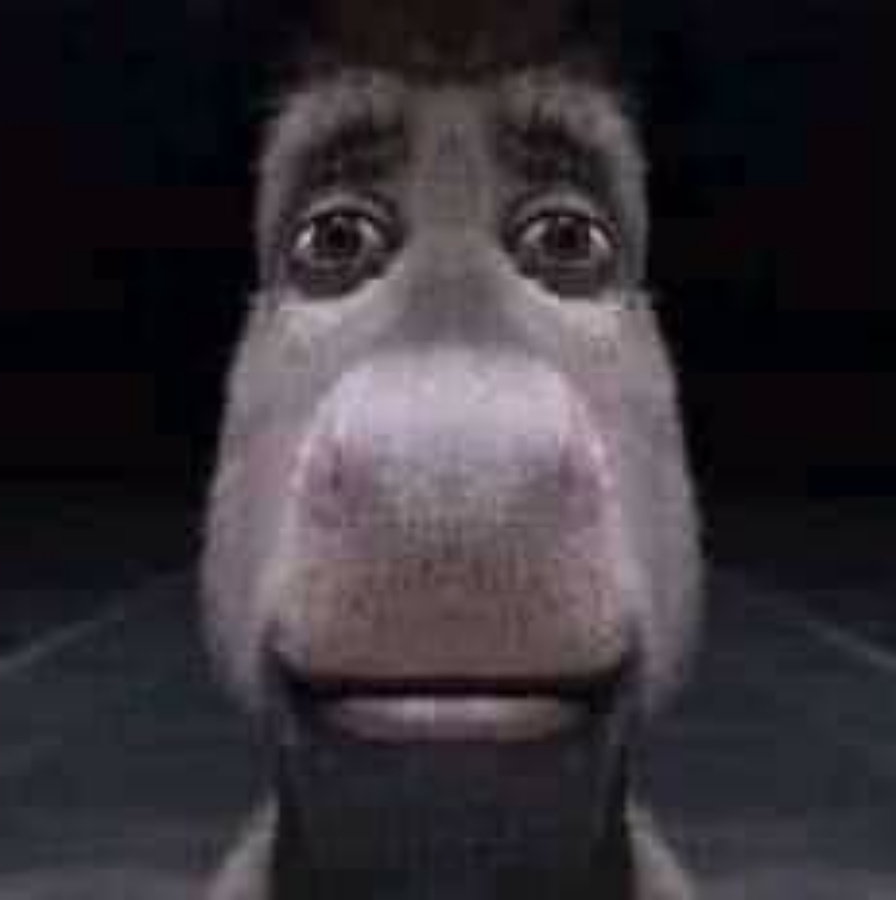 Donkey Staring Blank Template Imgflip