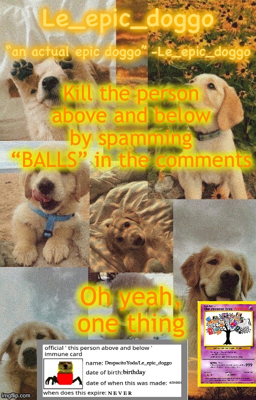 Doggo temp by doggo. Wait what that’s confusing - Imgflip