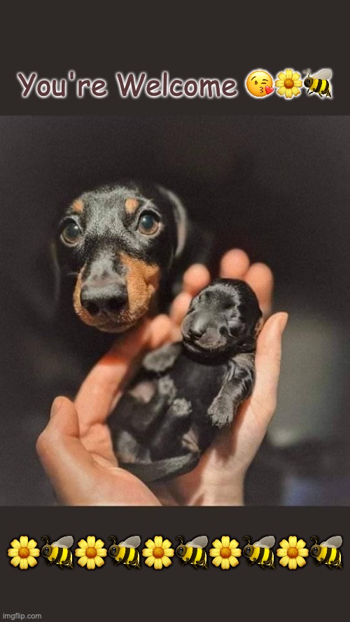 UR WELCOME - Imgflip