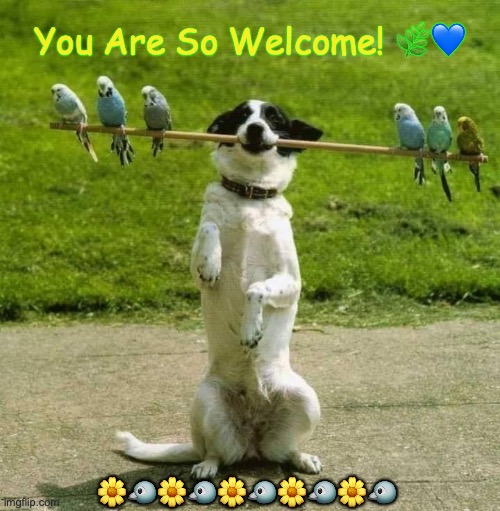 UR So Welcome - Imgflip