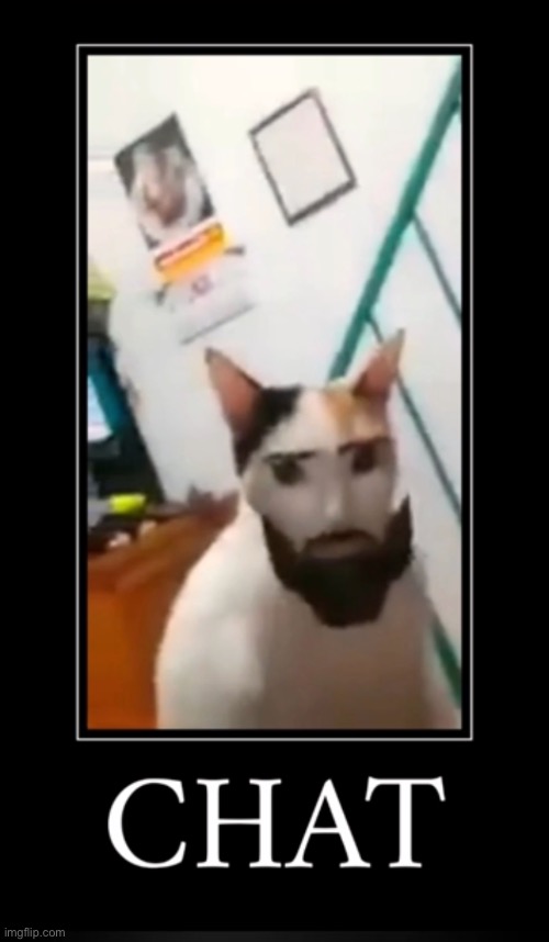 Chat Imgflip
