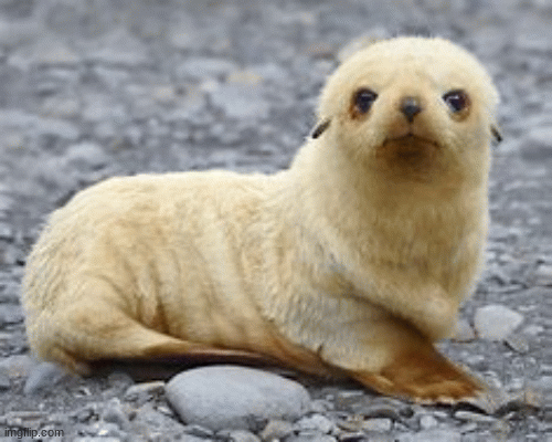 Warning viewer discretion may be advised - Imgflip