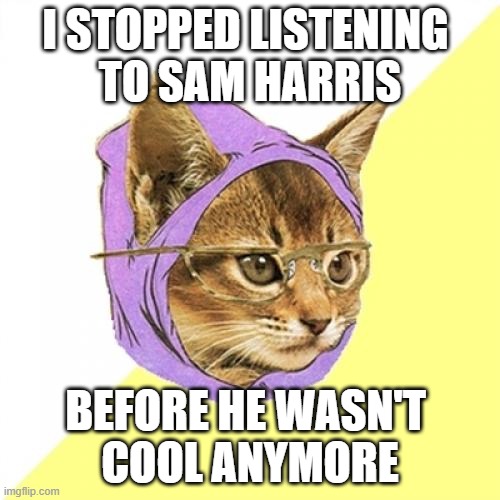 Hipster Kitty Meme - Imgflip