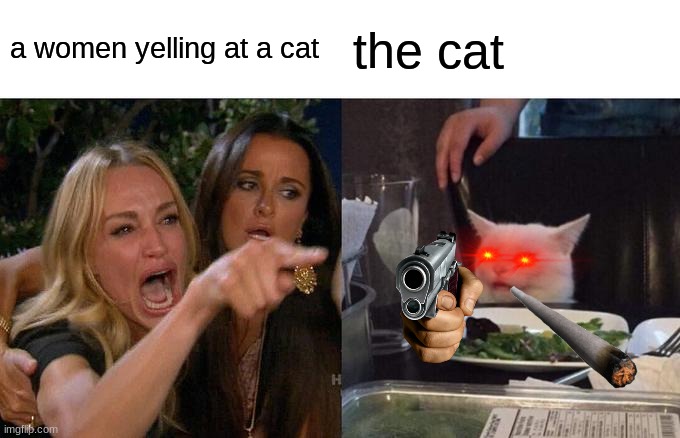 Woman Yelling At Cat Meme - Imgflip
