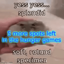 rotund specimen - Imgflip