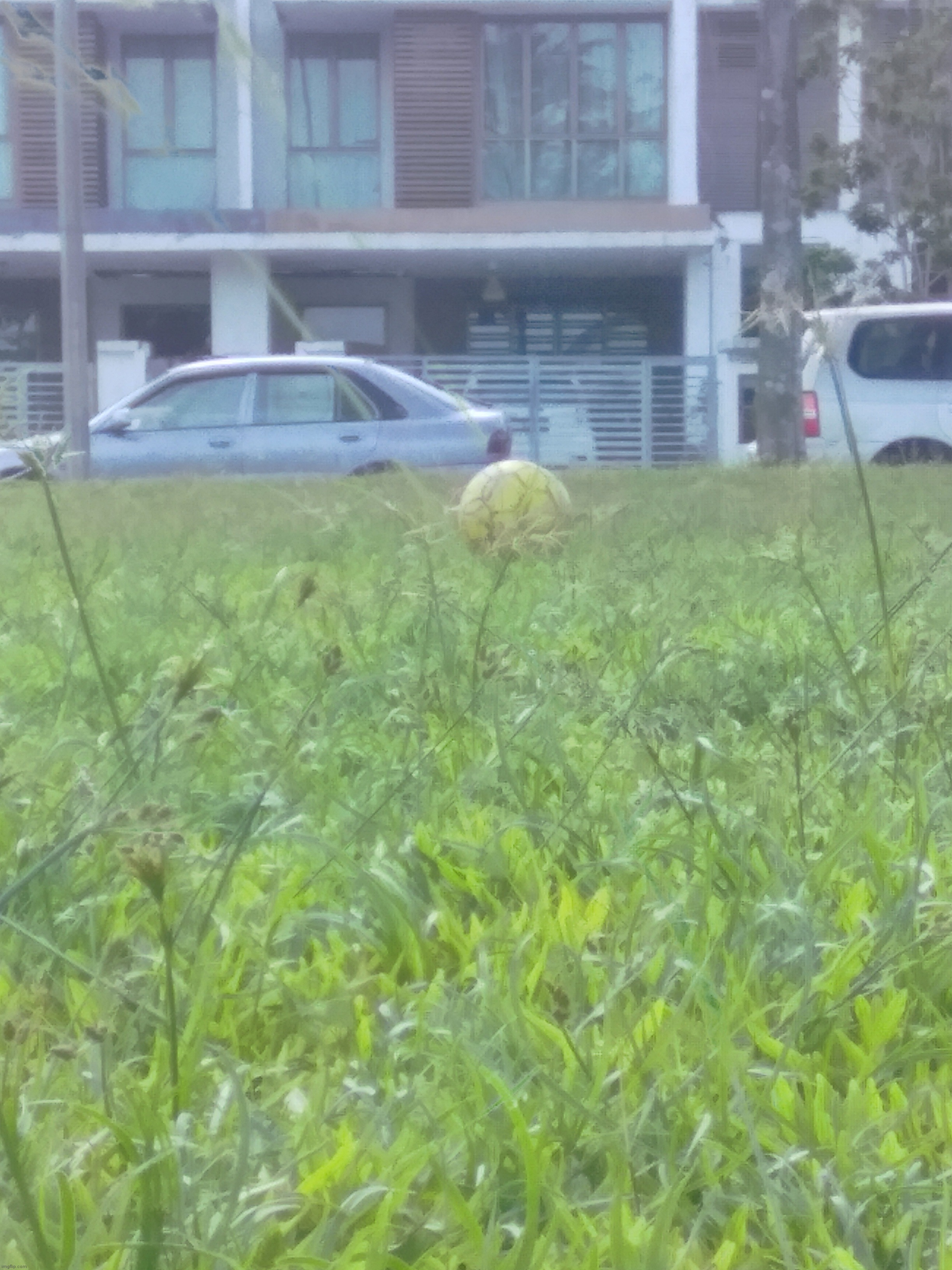 random picture - Imgflip