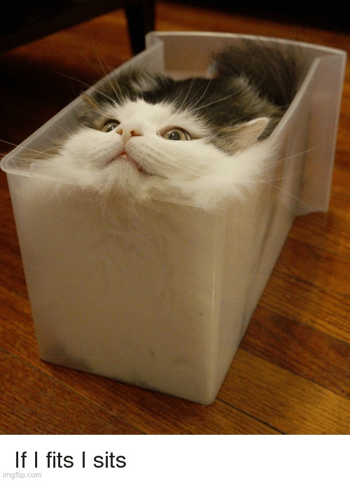 If it fitz I sitz - Imgflip