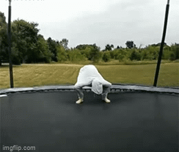 Trampoline - Imgflip