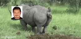 Rhino poop - Imgflip