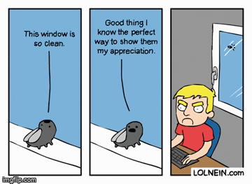 Window - Imgflip