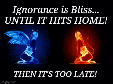 Ignorance - Imgflip
